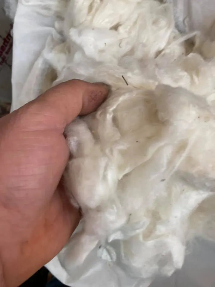 The Benefits of Wool Flock for Saddles – Aitken's Saddlery