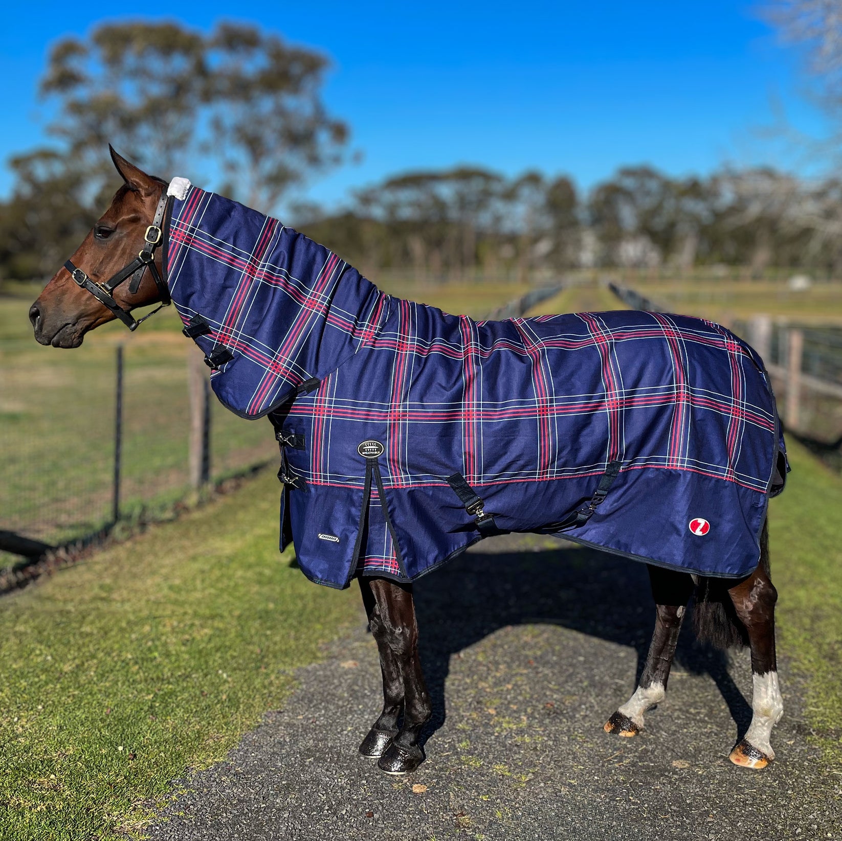 Zilco Crusader Combo 200 Navy – Aitken's Saddlery