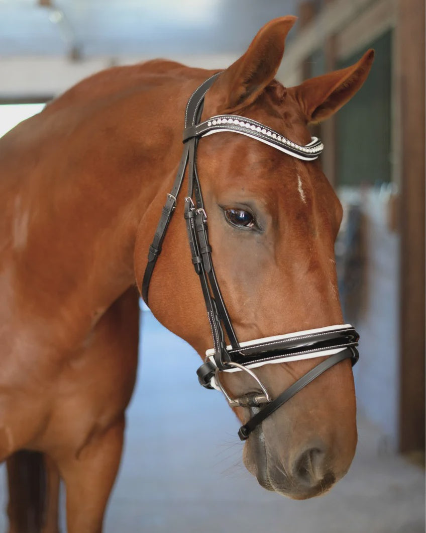 Correct Connect Patent Bridle with White Padding – Aitken's Saddlery