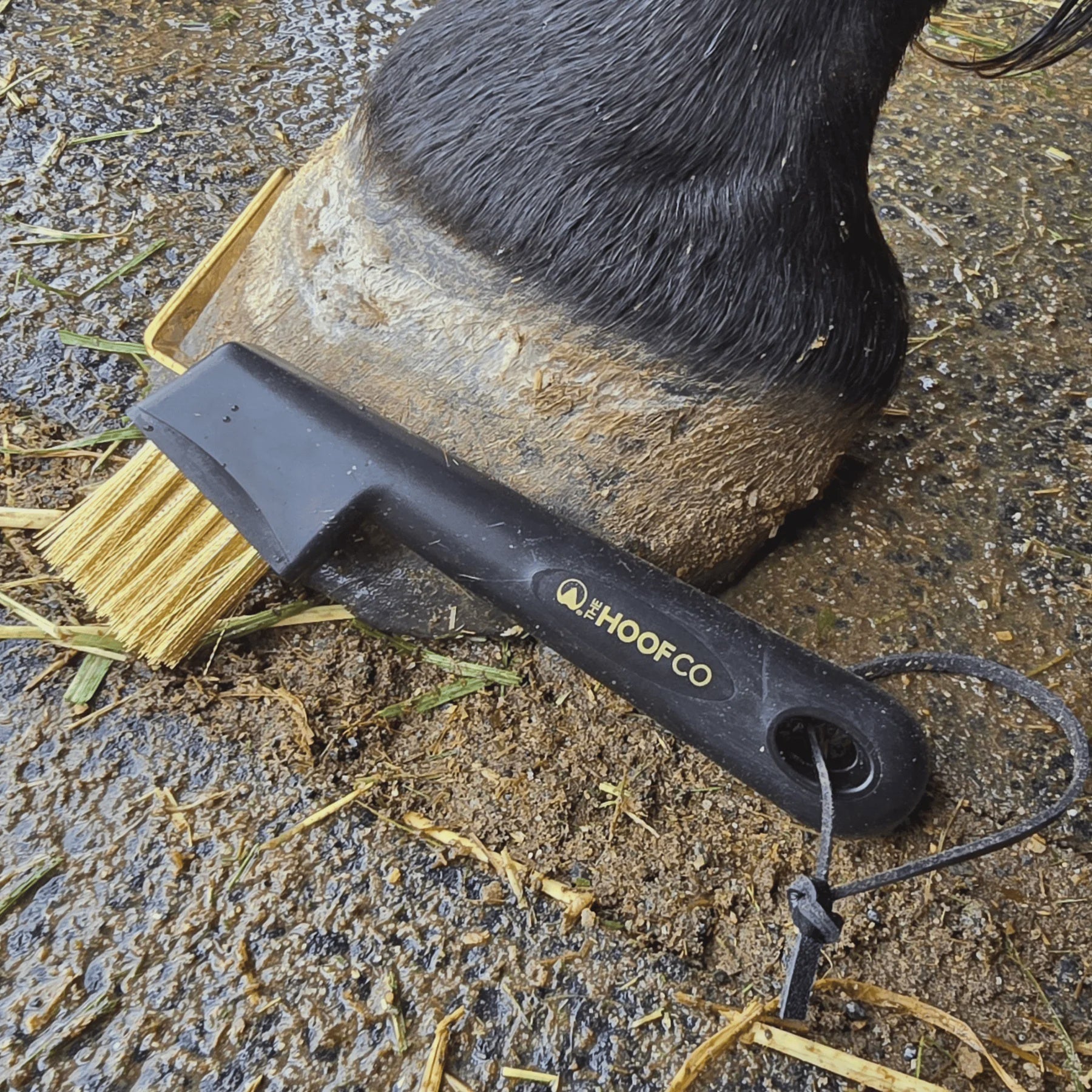 he Hoof Co – Specialist Hoof Care Products | Aitken’s Saddlery ...