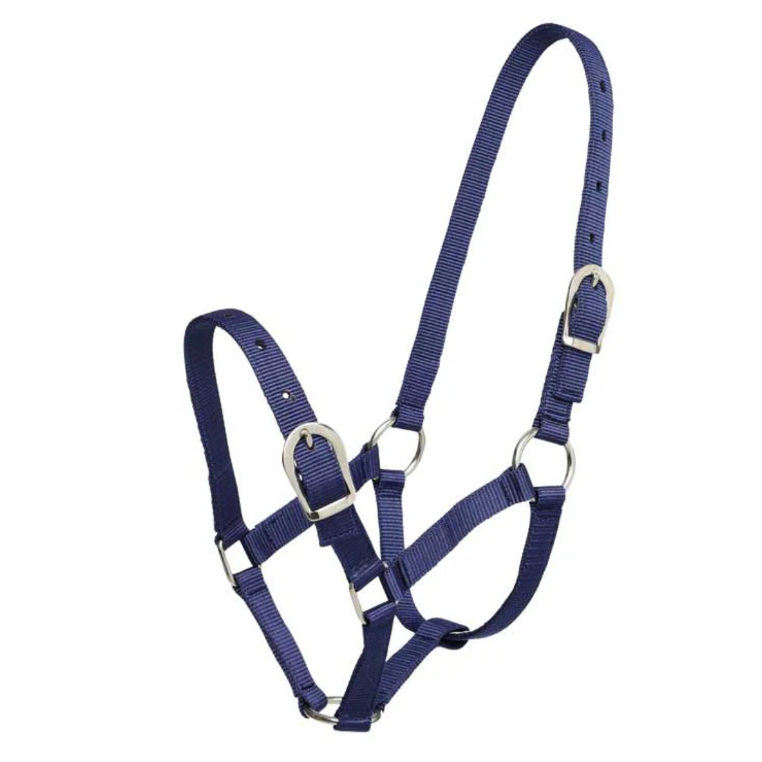 Small Pony Halter Navy – Aitken's Saddlery