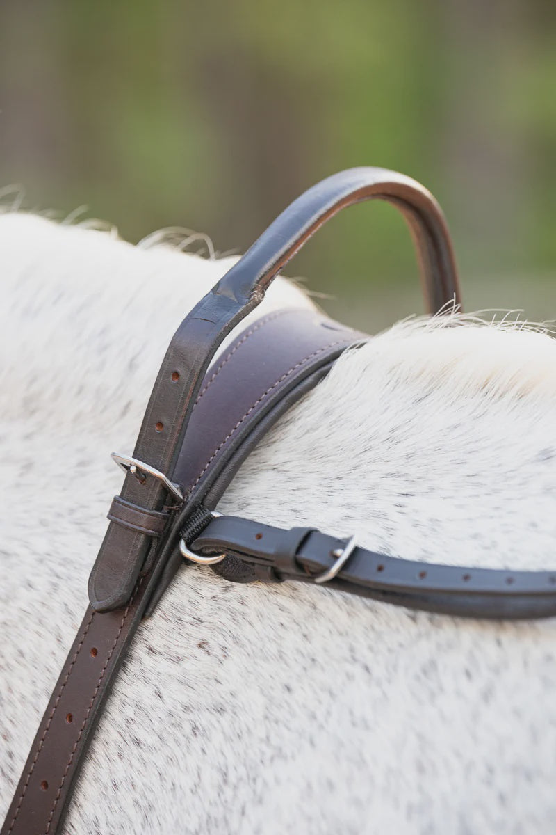 Correct Connect – Aitken's Saddlery