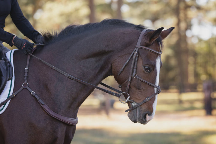 Correct Connect – Aitken's Saddlery