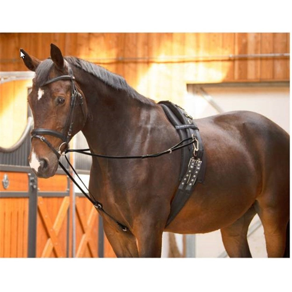 Running Side Reins with Quick Snap Release Black – Aitken's Saddlery