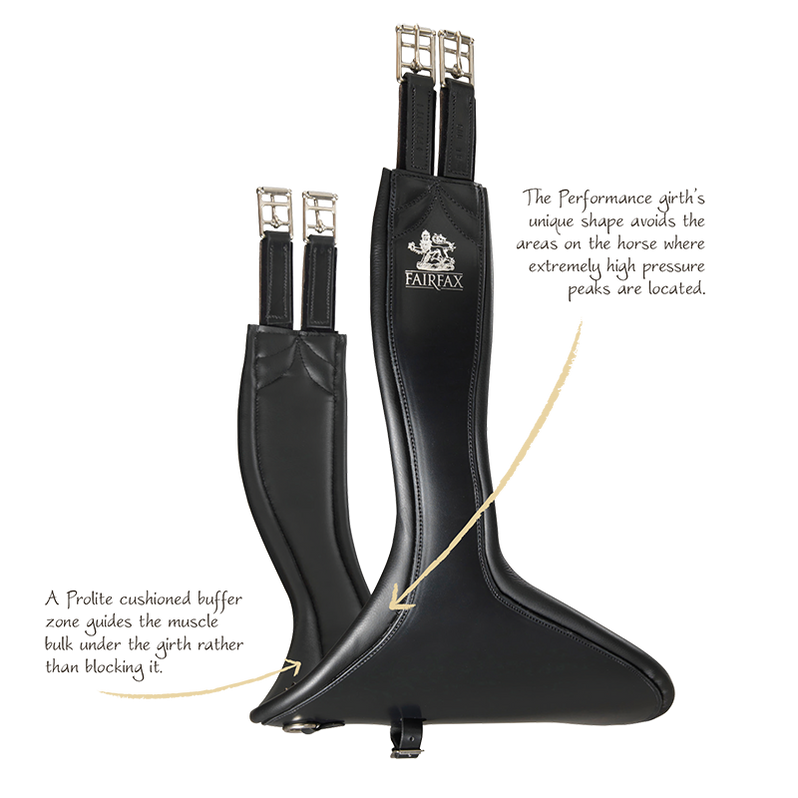 Stud Guards: Protection for Jumping Performance | Aitkens Saddlery ...